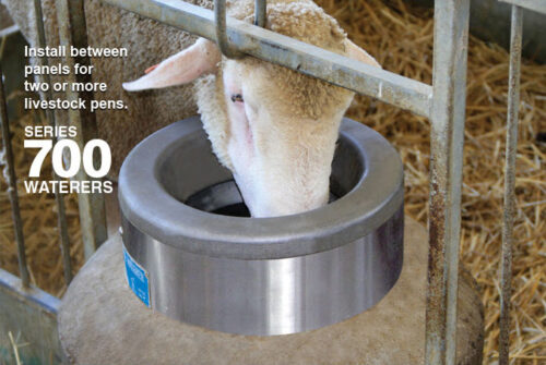 Automatic Livestock Waterers – Miracle Ranch Equipment